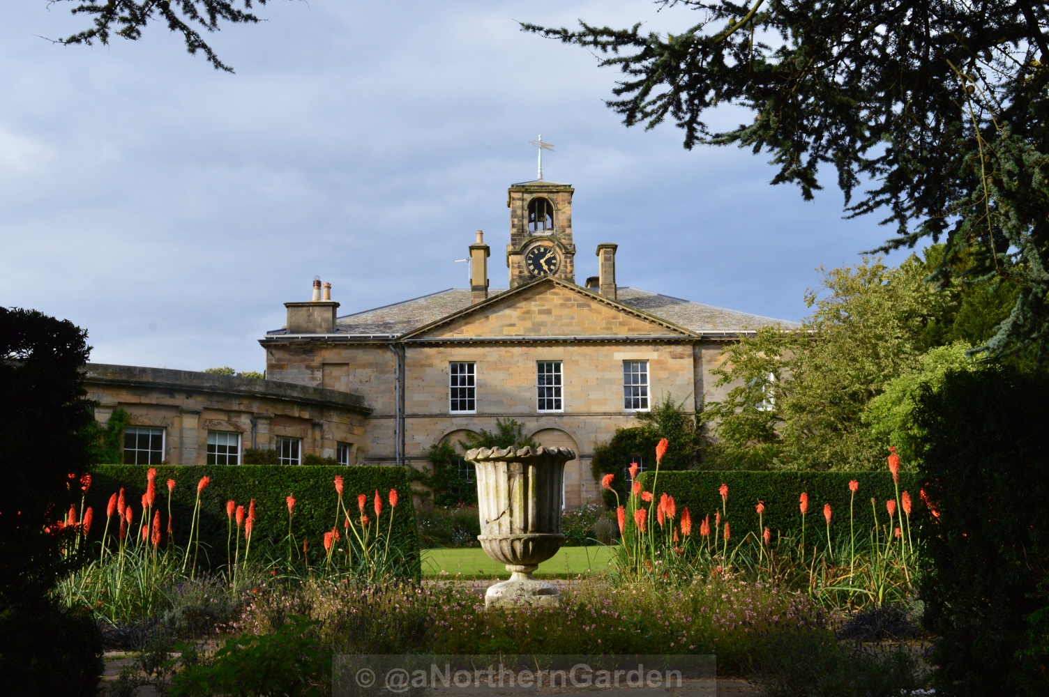 From a Northern Garden: A Visit to Howick Hall Garden