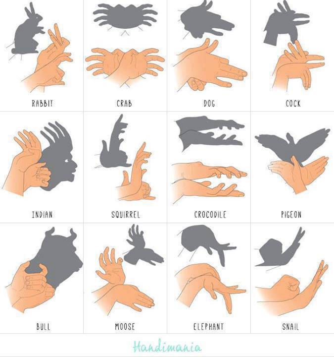 Waskita Adijarto: Permainan Bayangan Dengan Tangan Waskita Adijarto: Permainan Bayangan Dengan Tangan