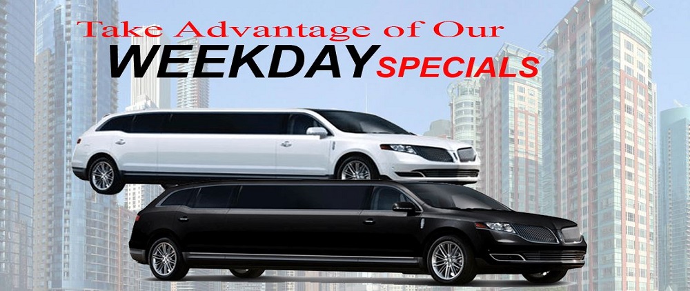 ALL AMERICAN LIMOUSINE