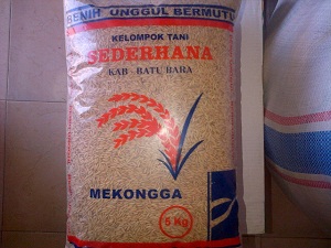 6 Benih padi berkualitas terbaik di Indonesia - Budidaya.Com