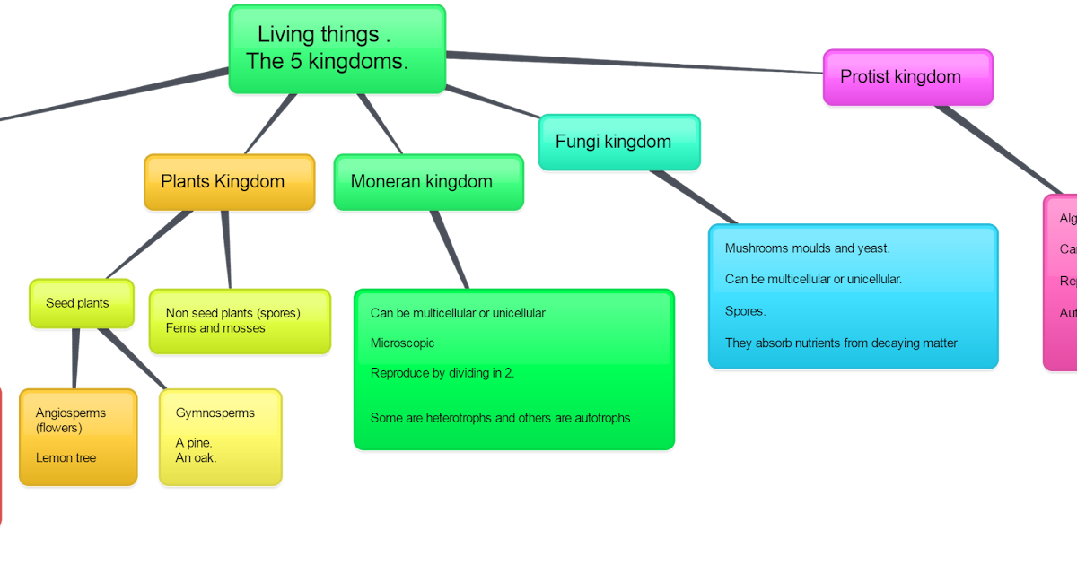 Nos encanta aprender!!!.: 5 kingdoms mind-map.