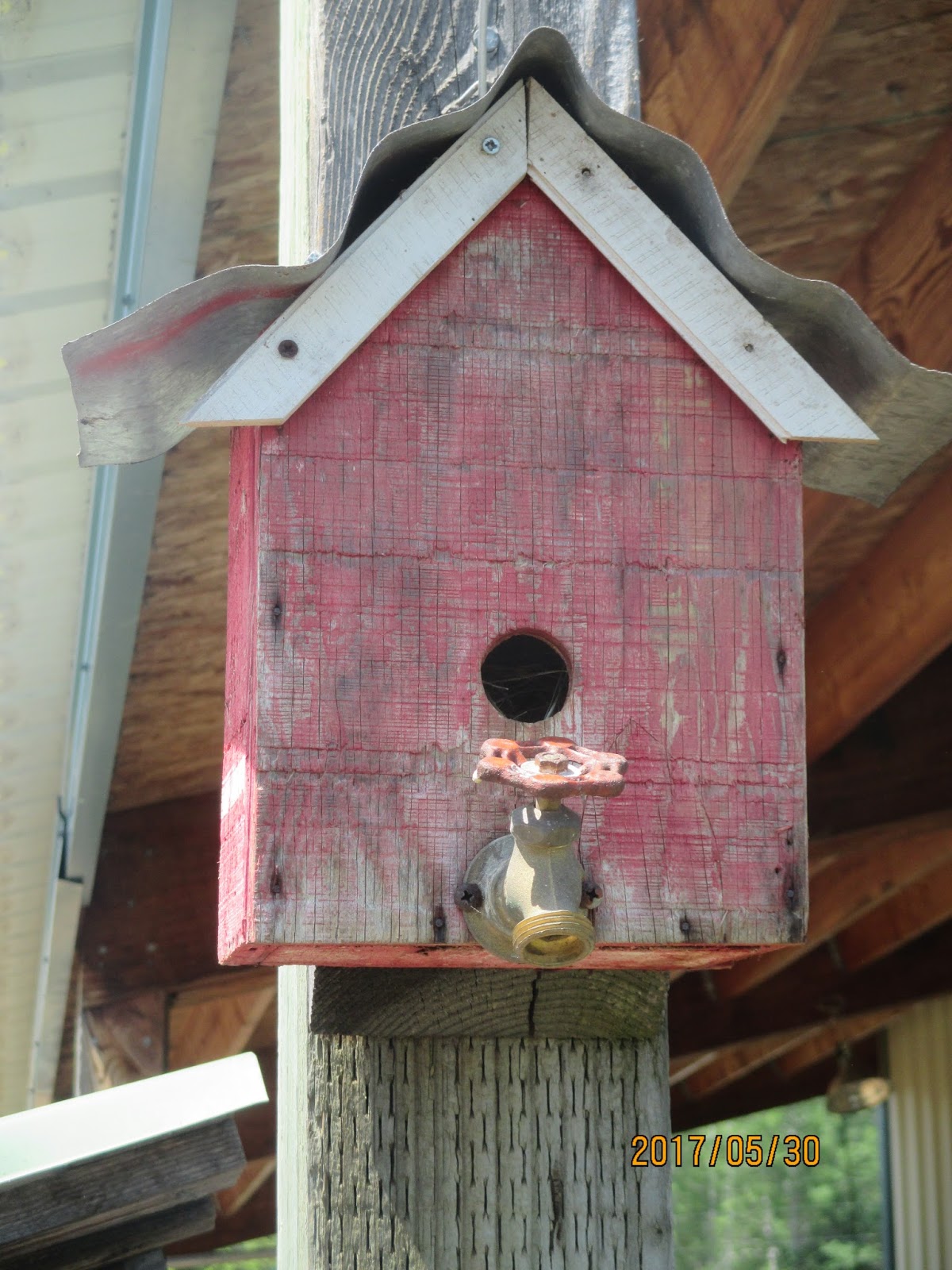From Cedar Pond to Laughing Dove Farm : Bird Houses