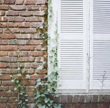 blog DD: brick story