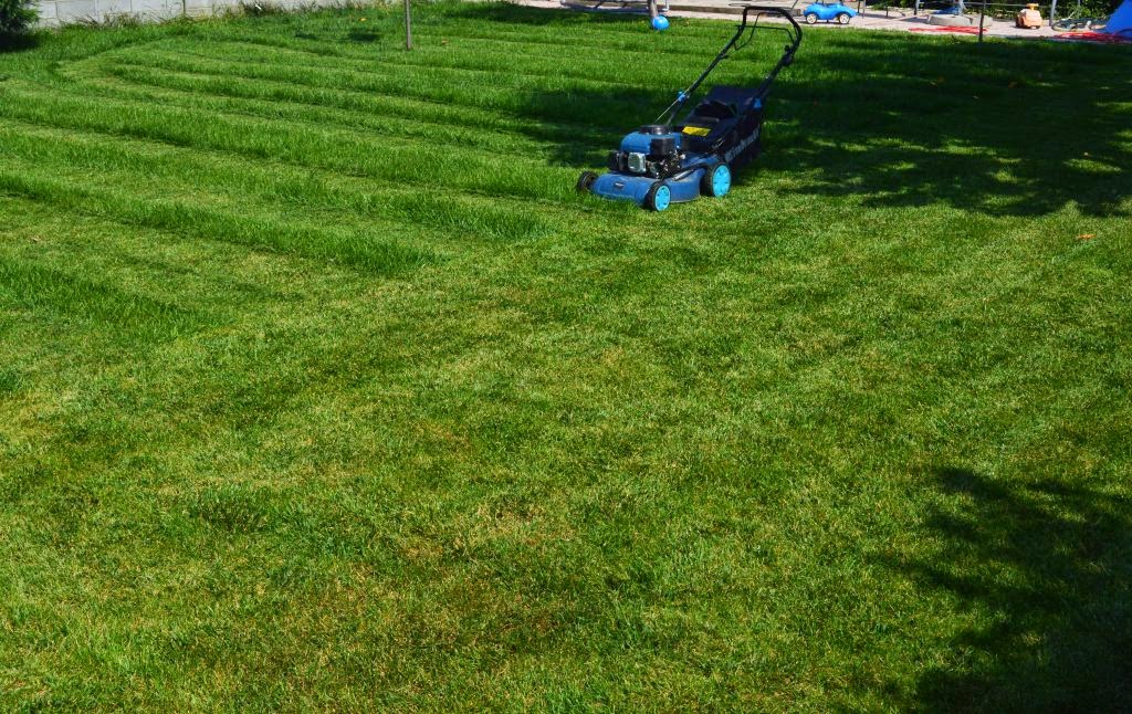 Amenajarea gradinii de langa casa in articole si imagini: Cum putem ...