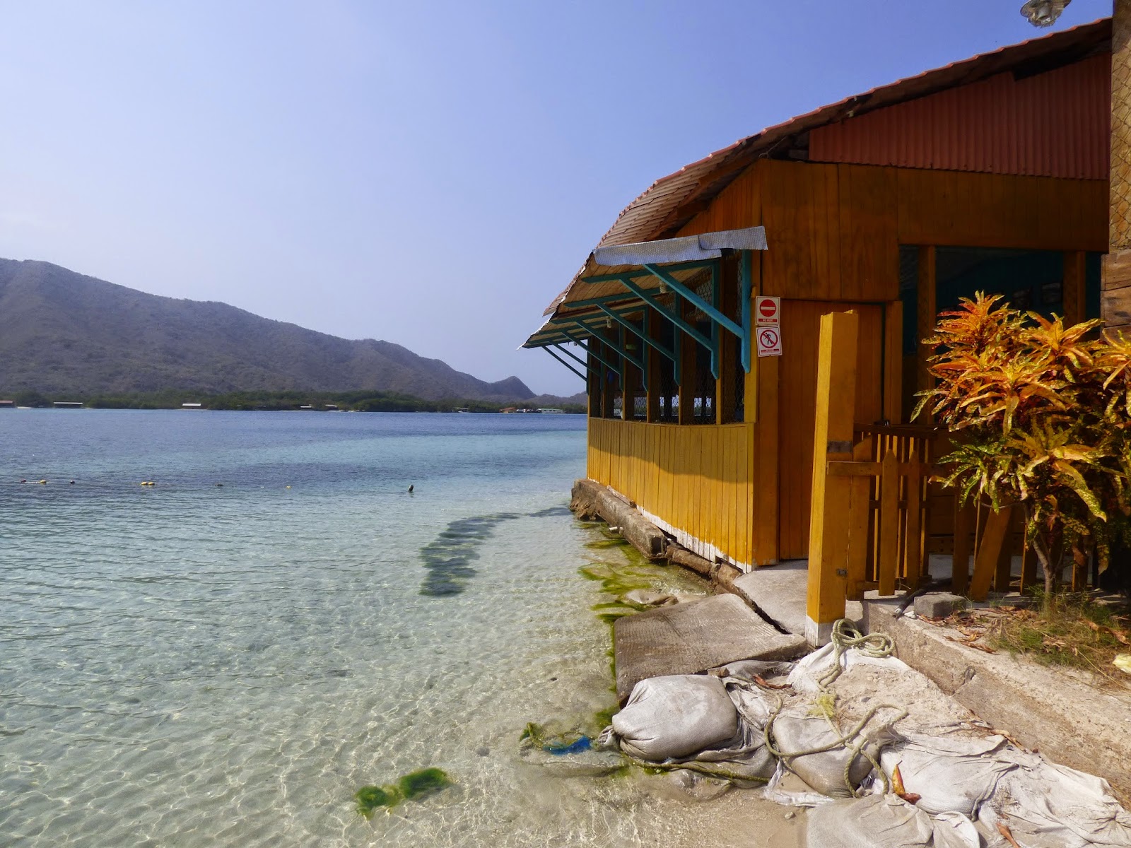 Guarapa Turística: La Ciénaga de Ocumare de la Costa
