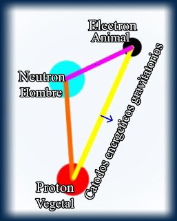 TODO LO CREADO ES ESPÍRITU: EL MICRO COSMOS PRIMORDIAL