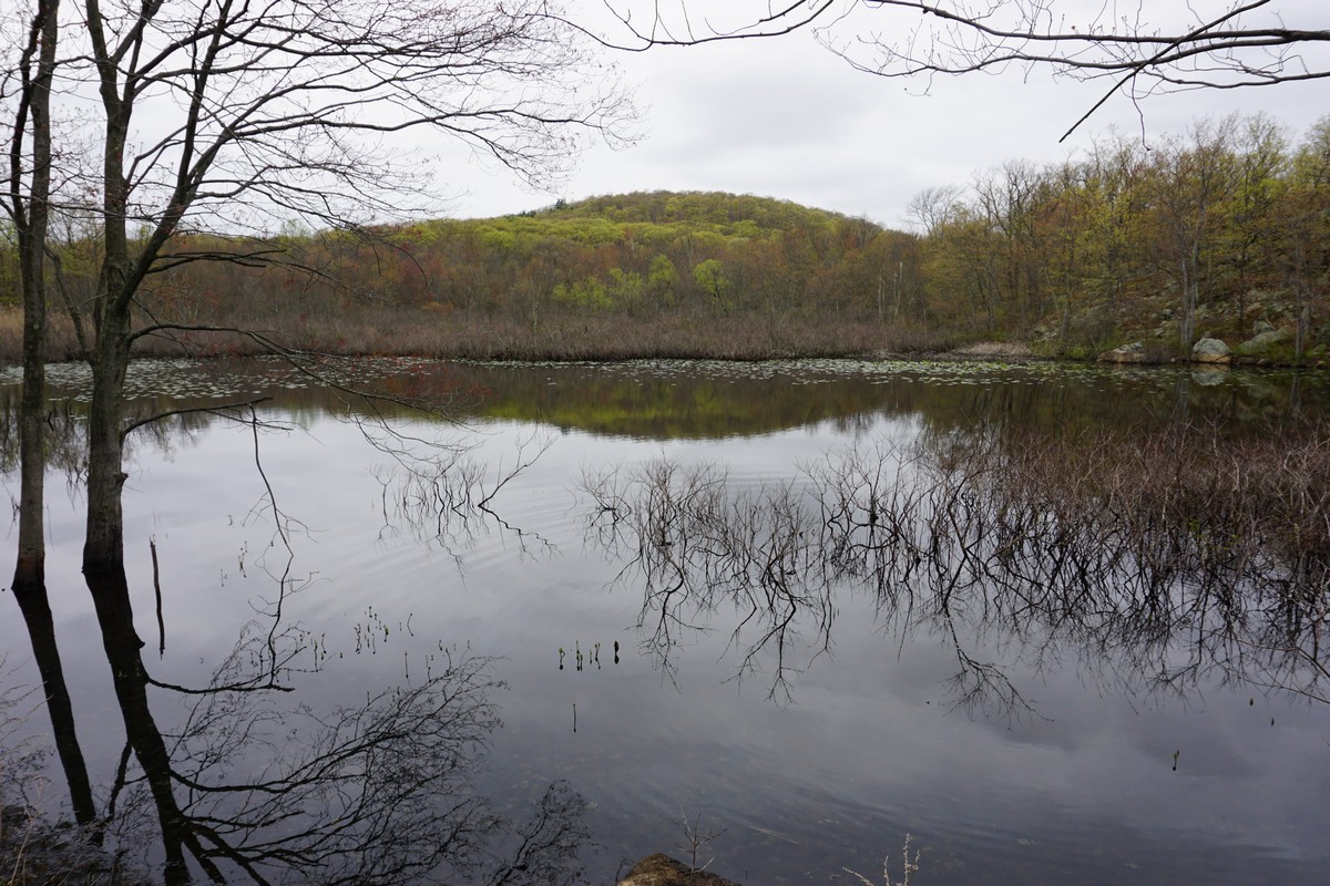 Harriman Hiker: Harriman State Park and Beyond: Otter Hole and Torne ...