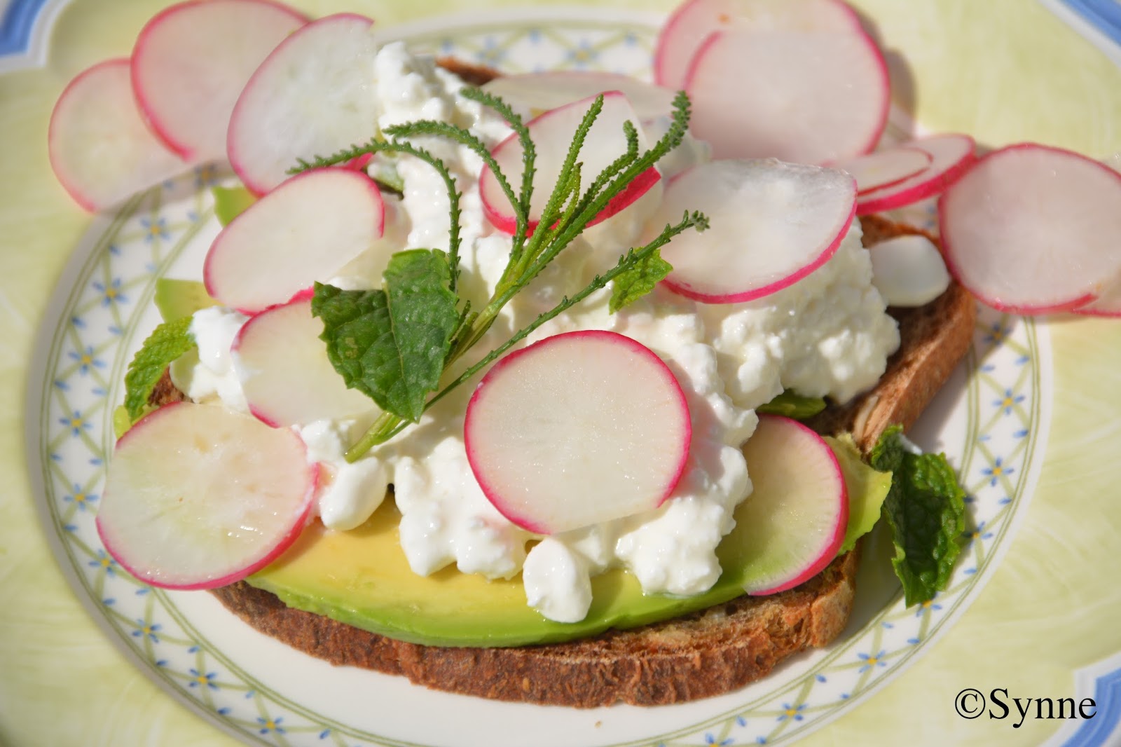 ganske enkelt: Frokost med avocado og cottagecheese