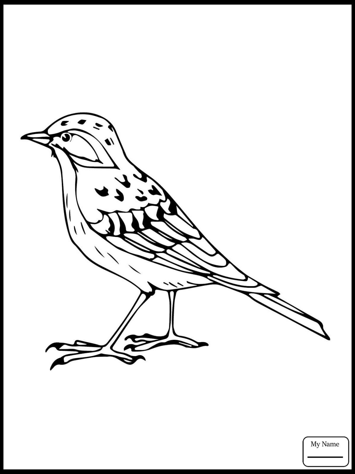 lark coloring pages - jiahajava