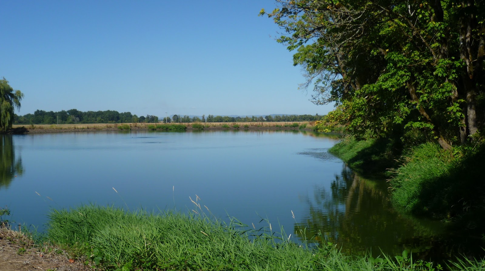 Jameco Snaps: Brigittine Monastery in Amity, Oregon