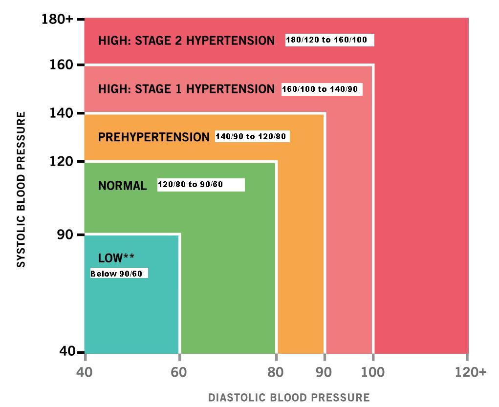 DAFNE Blood Pressure dafne-blood-pressure