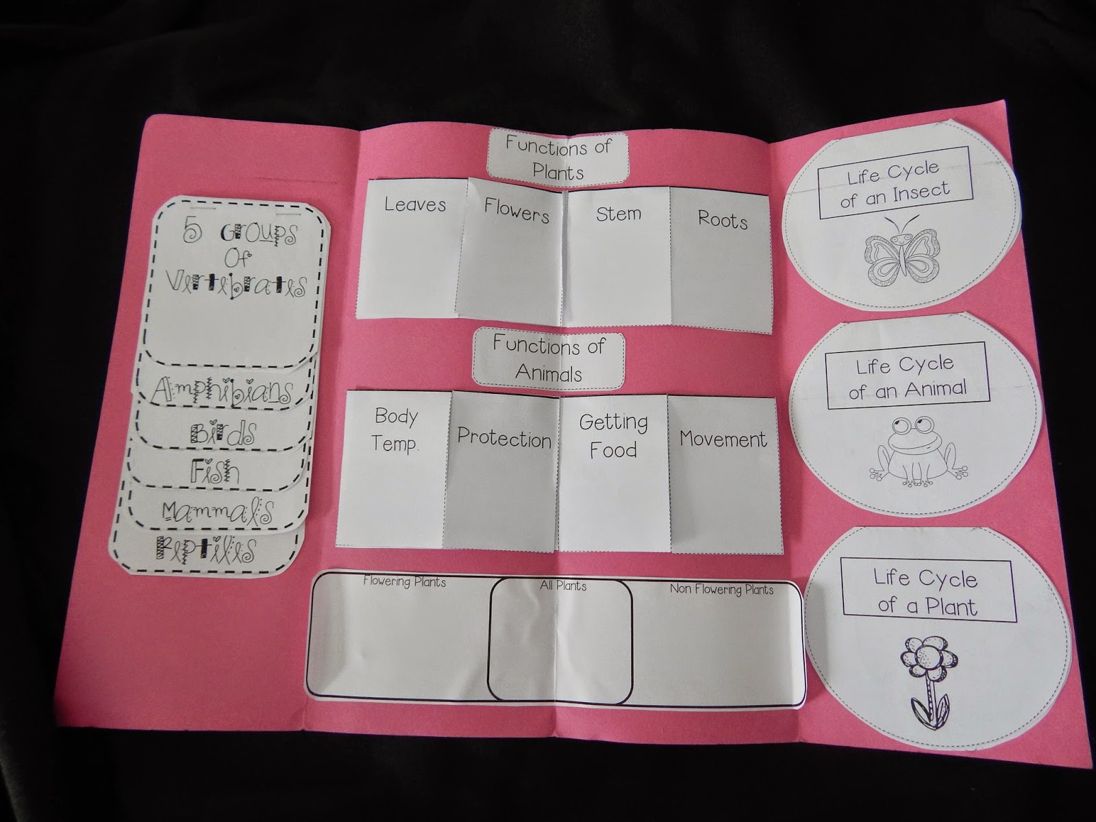 Two Nuts Teachin' from the Same Tree: We Heart Lapbooks!