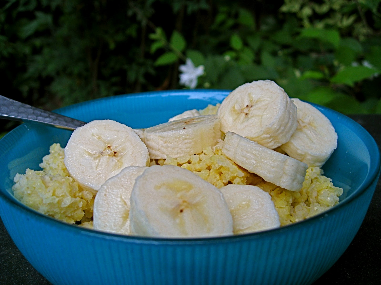 My Munchable Musings: What's Cooking? The Plan