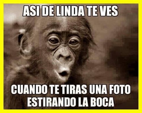 Imágenes De Risa: Asi De Linda Te Ves Cuando Te Tiras Una Foto ...