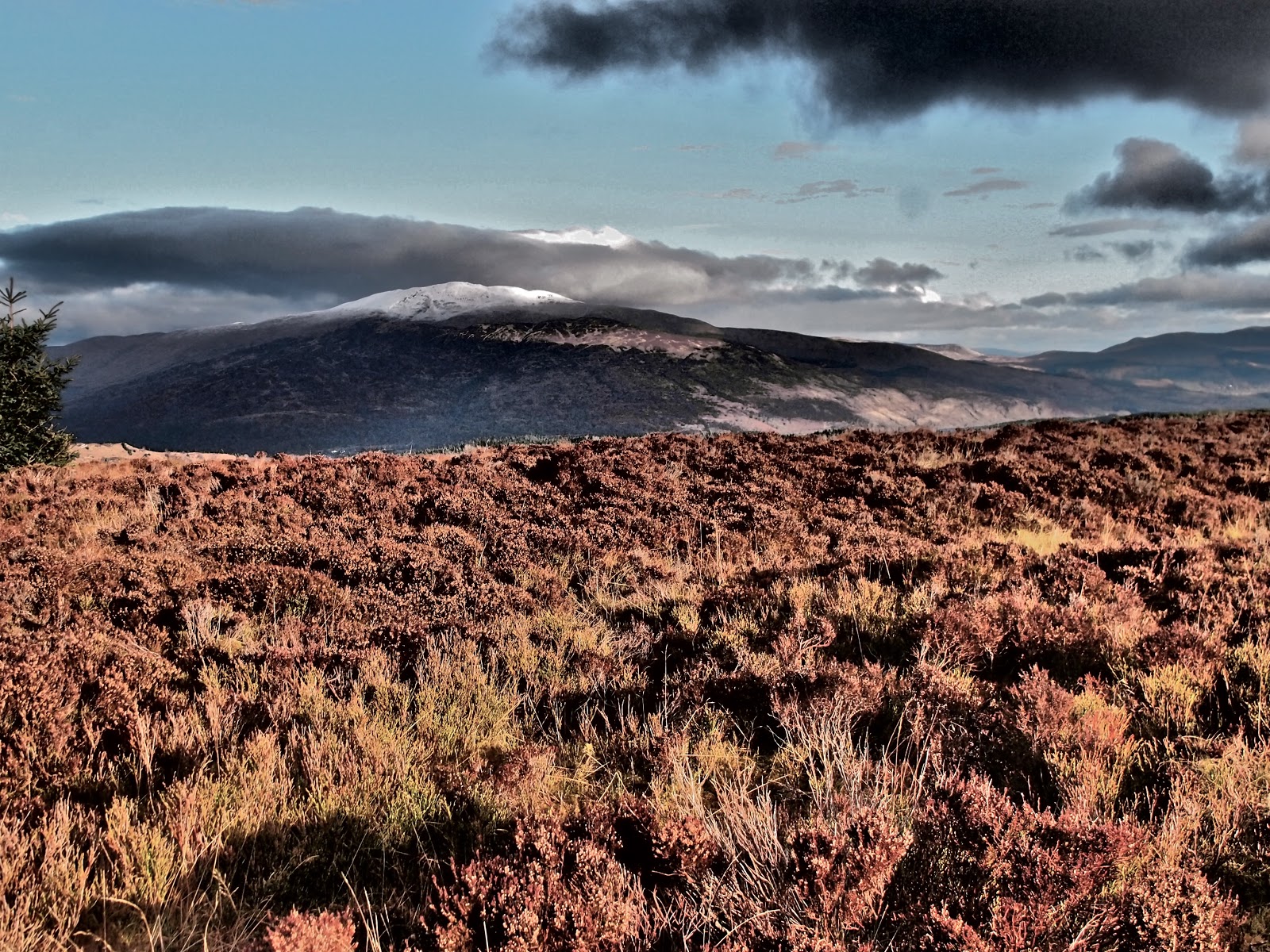 KYQ4: Craigmore, Aberfoyle