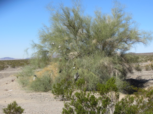 Neil & Barb's Travel Blog: "It's just you, me, and America"