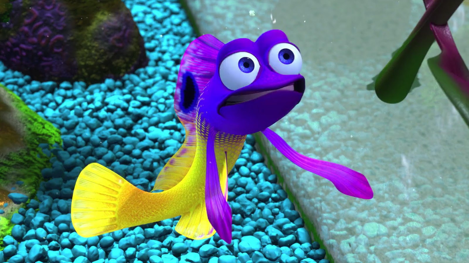 Cari Finding Nemo Terbaru - MATERI PENTING PENDIDIKAN SEKOLAH
