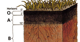 Learning Geology: Soil Profiles And Soil Properties