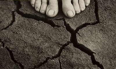 Los Grandes Fotografos: Boris Davidov (1942)