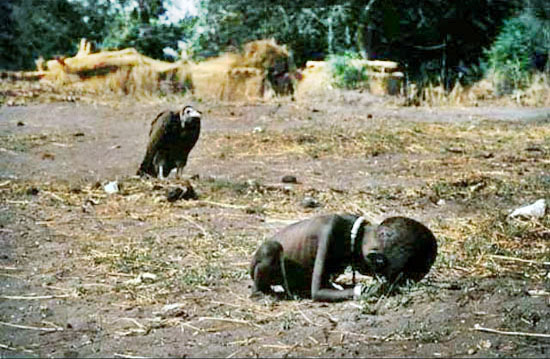 Naturalist's World - Dr Abe V Rotor : The Vulture and a Child: A ...