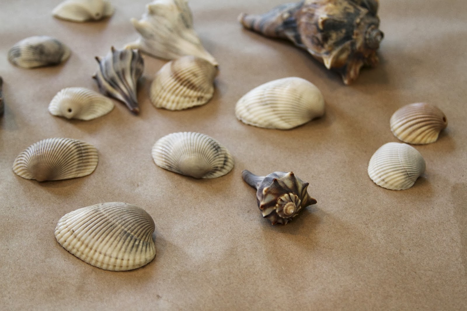 Open Door: DIY: Colorful Shells