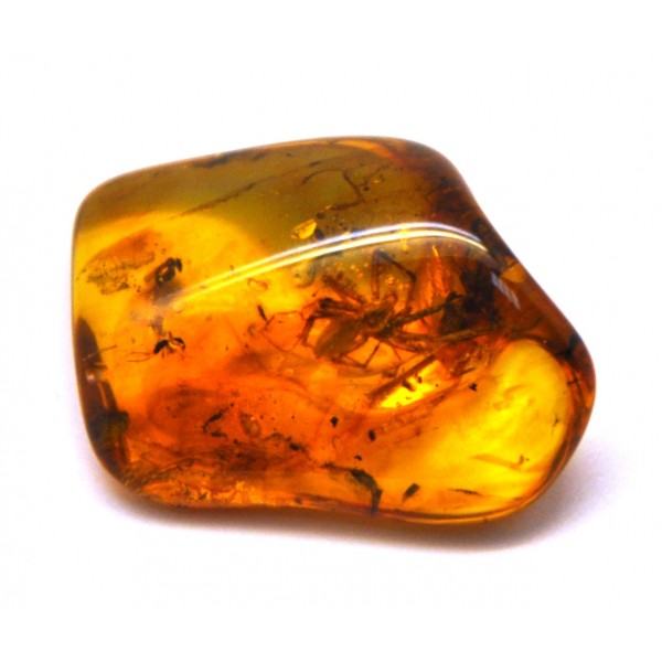 Amber Gemstone ~ Learning Geology