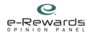 Relentless Financial Improvement: e-Rewards: surveys for airline miles