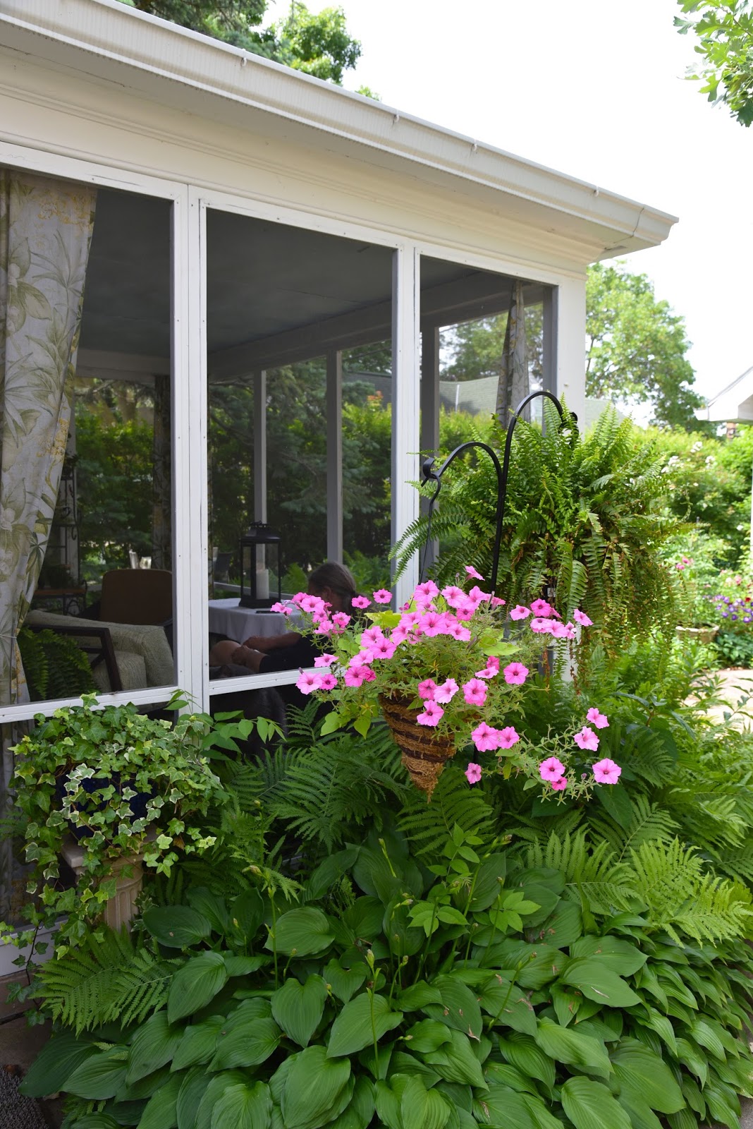 Calamitous Botanicus : Ivy & Burt Take On The Backyard