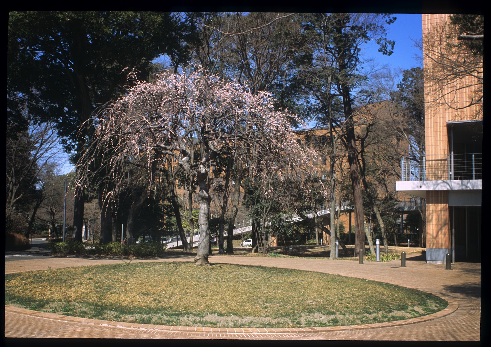 Tok'yall: Reitaku University