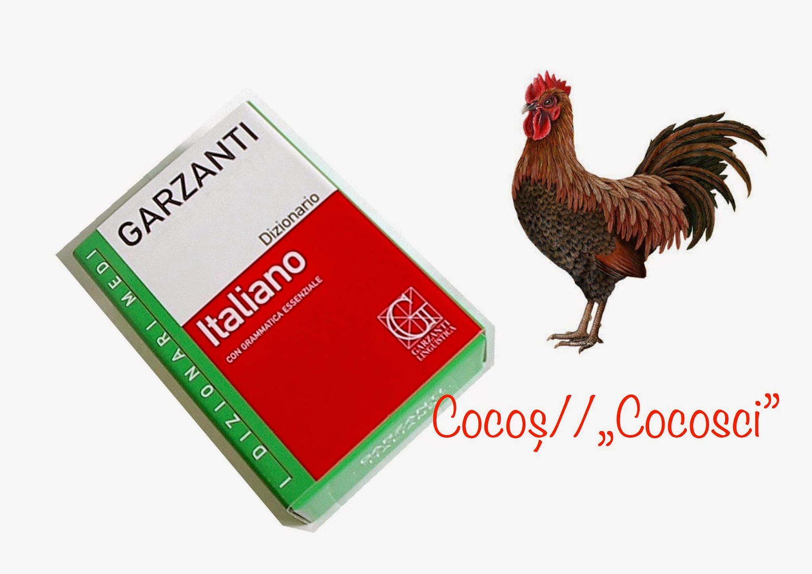 A venit momentul cel mare: un cuvânt românesc intrat în vocabularul ...