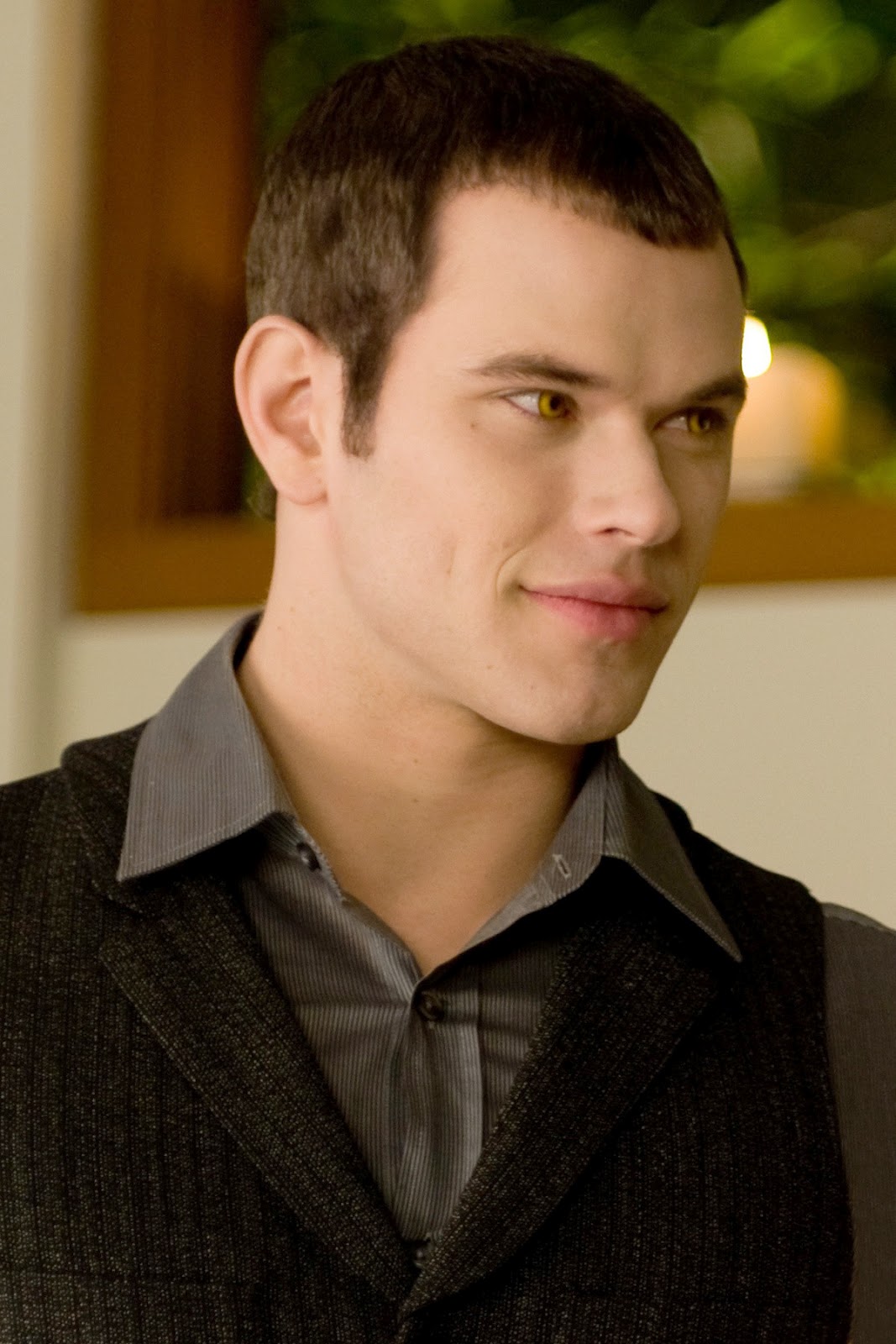 THE TWILIGHT SAGA: EMMETT CULLEN