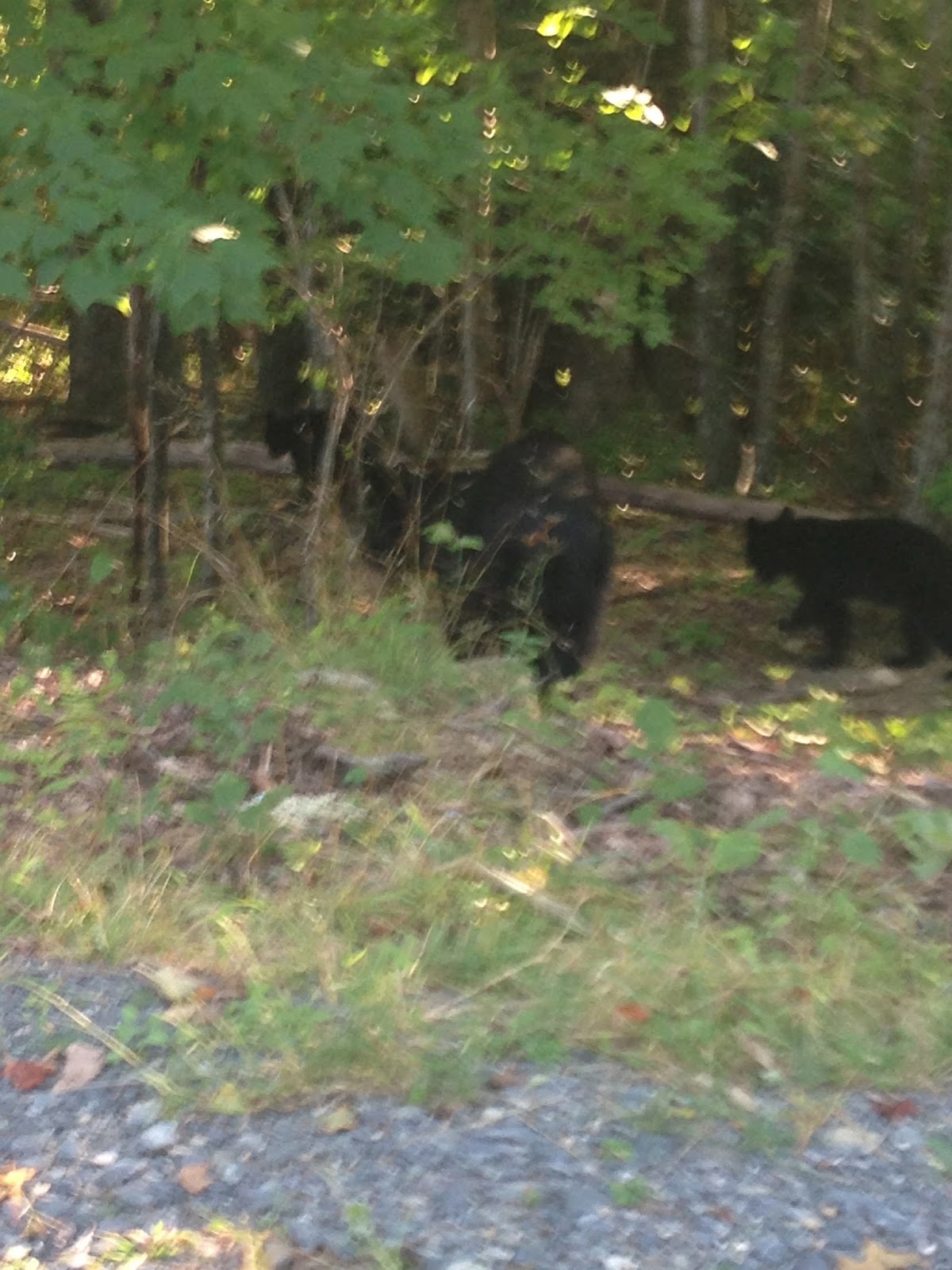 Our Journey..Together....