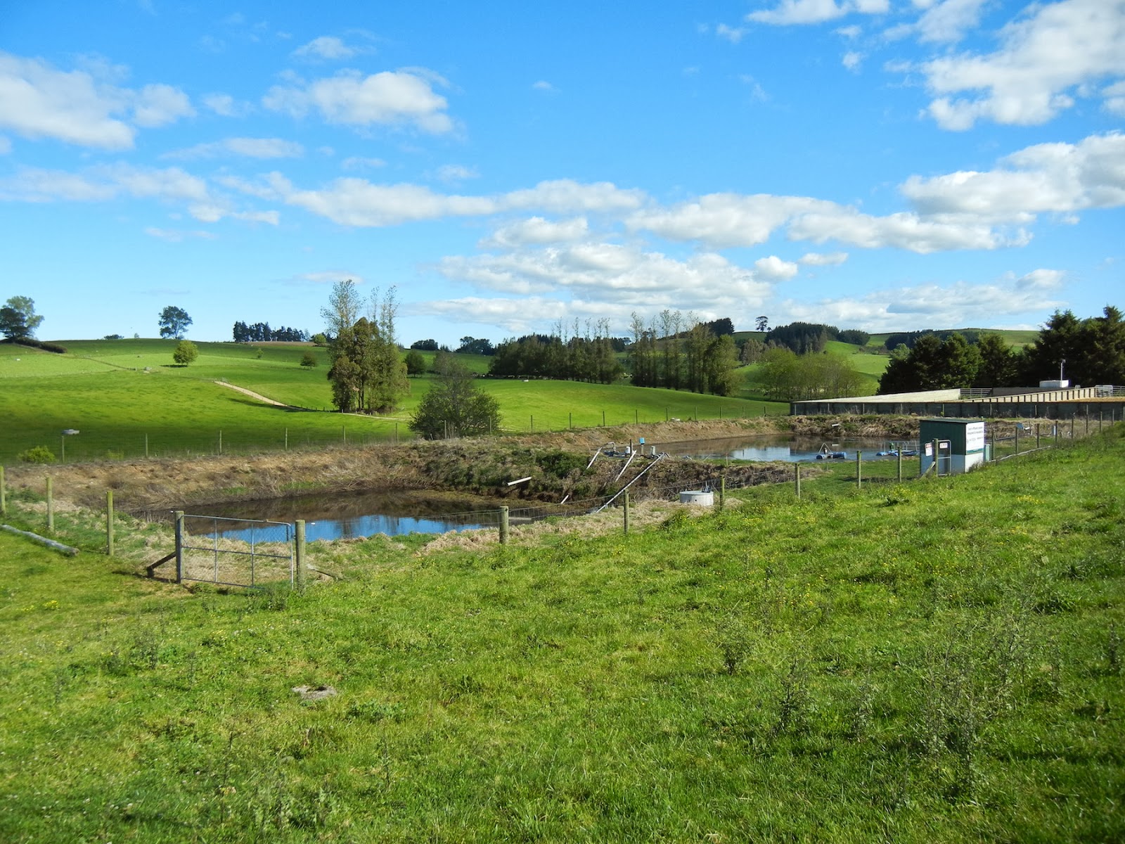 KauaiEclectic: Details on the New Dairy