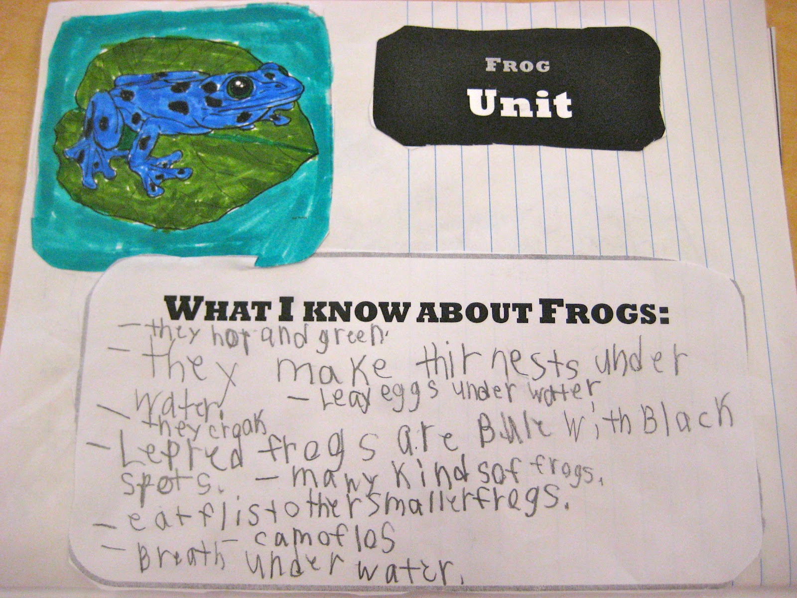 Ms. Liebel's Classroom: Science Journal - Frog Unit