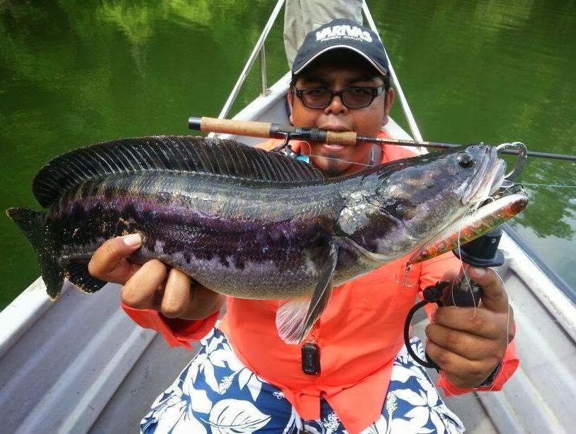 Casting For Snakehead