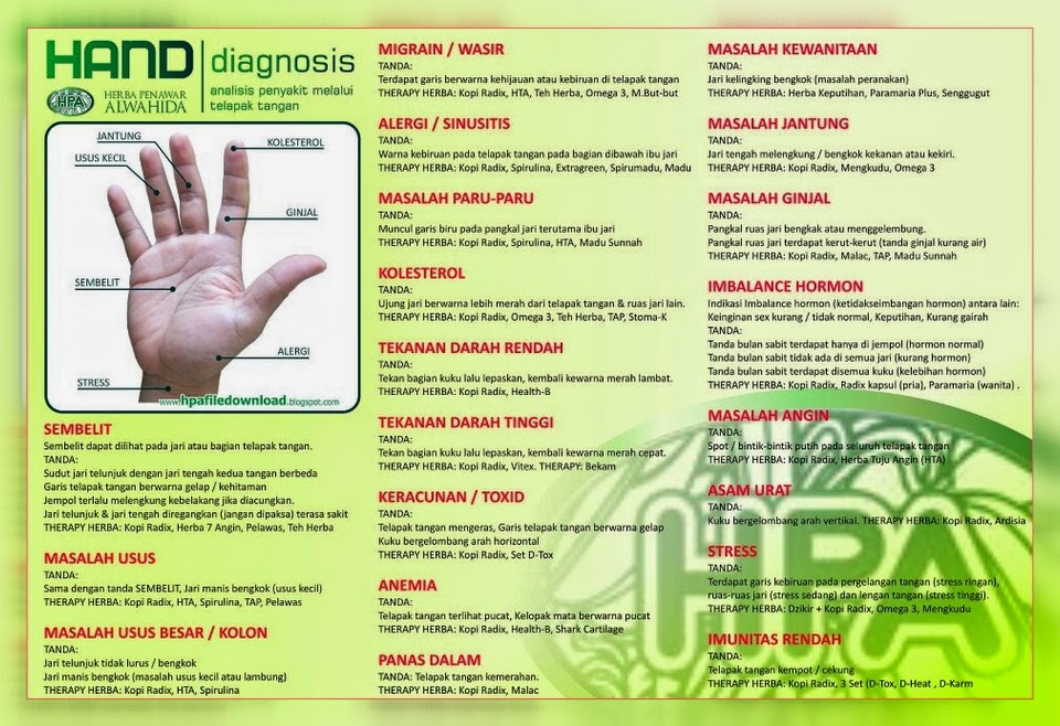 Rumah Sehat Al Syifa: Diagnosa Telapak Tangan (Sign Of Hand)