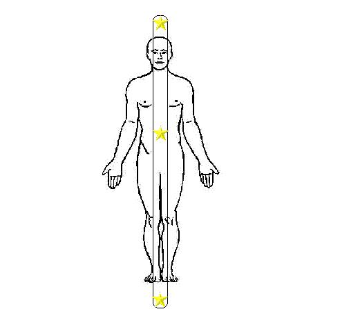 Vivir en la luz: LINEA HARA Y CHAKRAS TRANSPERSONALES