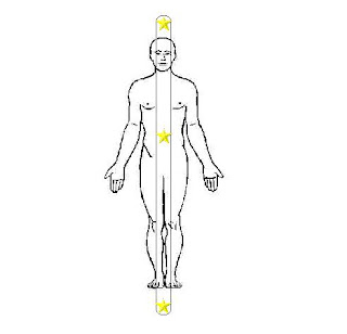 Vivir en la luz: LINEA HARA Y CHAKRAS TRANSPERSONALES