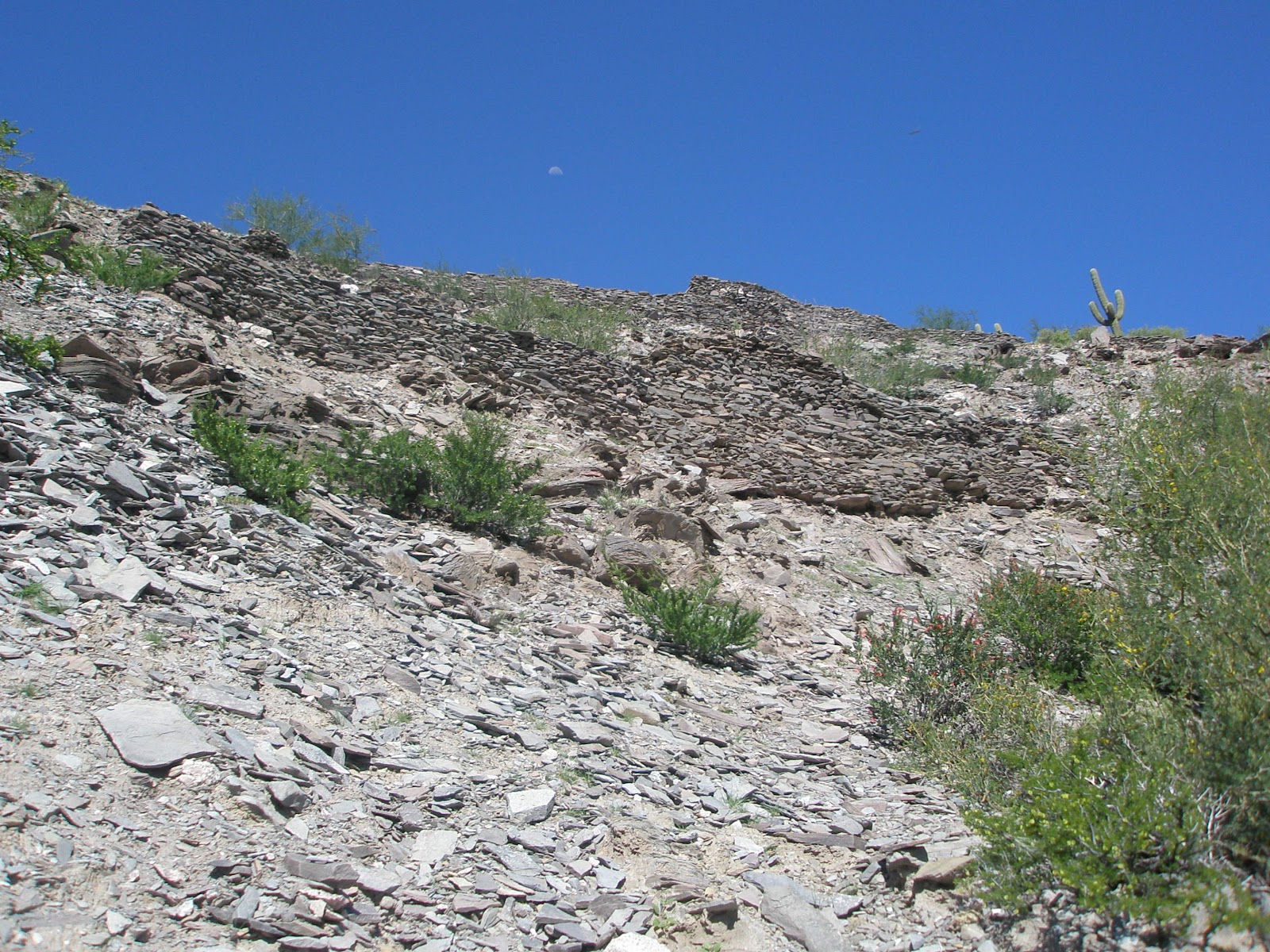 EL BLOG DE AXEL Y ROSLIE: CERRO PINTADO (LAS MOJARRAS - SANTA MARIA)