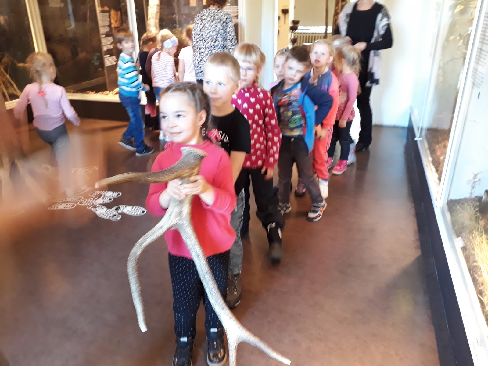 Roheline Kool Eestis Tallinna Tuule Lasteaed: Lapsed loodusmuuseumis