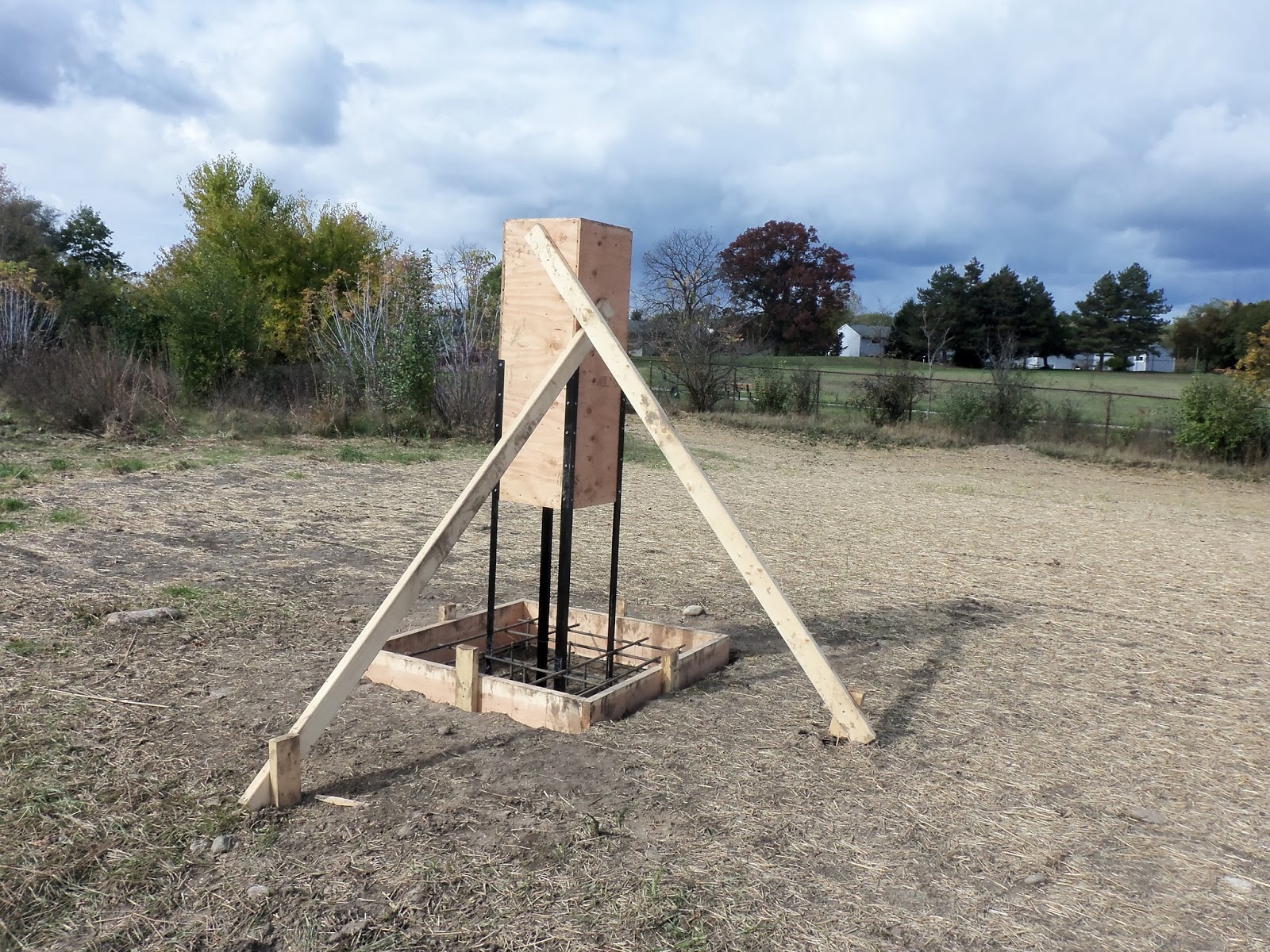 Tree Town Turf Guy: Eagle Scout Project (Chimney Swift Tower)