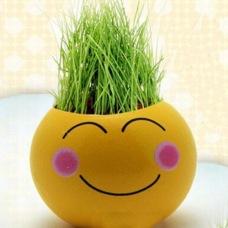20+ SUPER CUTE EMOJI CERAMIC FLOWER POT IDEAS FOR YOUR HOME - Bathroom ...