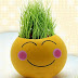 20+ SUPER CUTE EMOJI CERAMIC FLOWER POT IDEAS FOR YOUR HOME - Bathroom ...