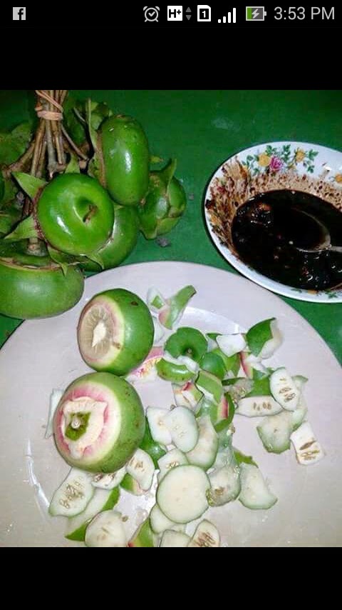 SOFHIA JALI - ALBATROSS: BUAH PEDADA