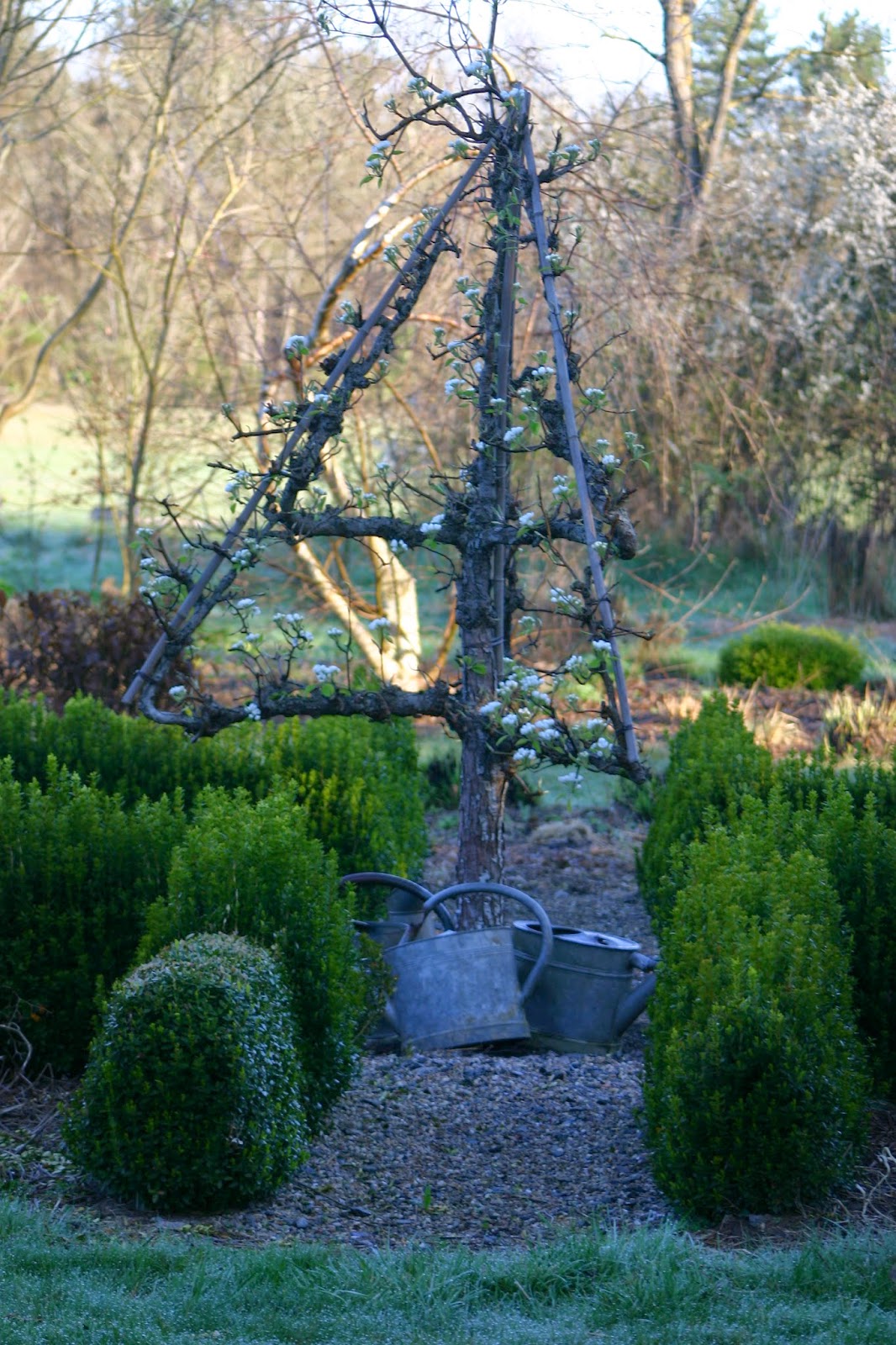 Catherine Joyaux Corselli : L'Ecole du Bouquet