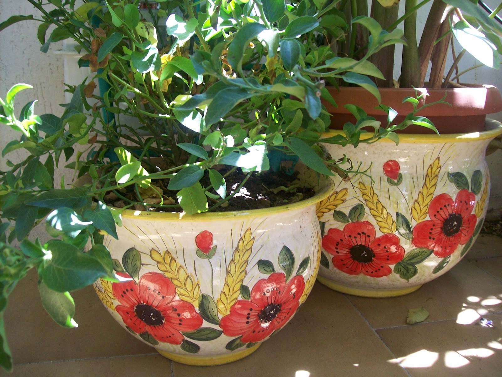 Ceramica che passione: I vasi per le piante di maiolica dipinti a mano