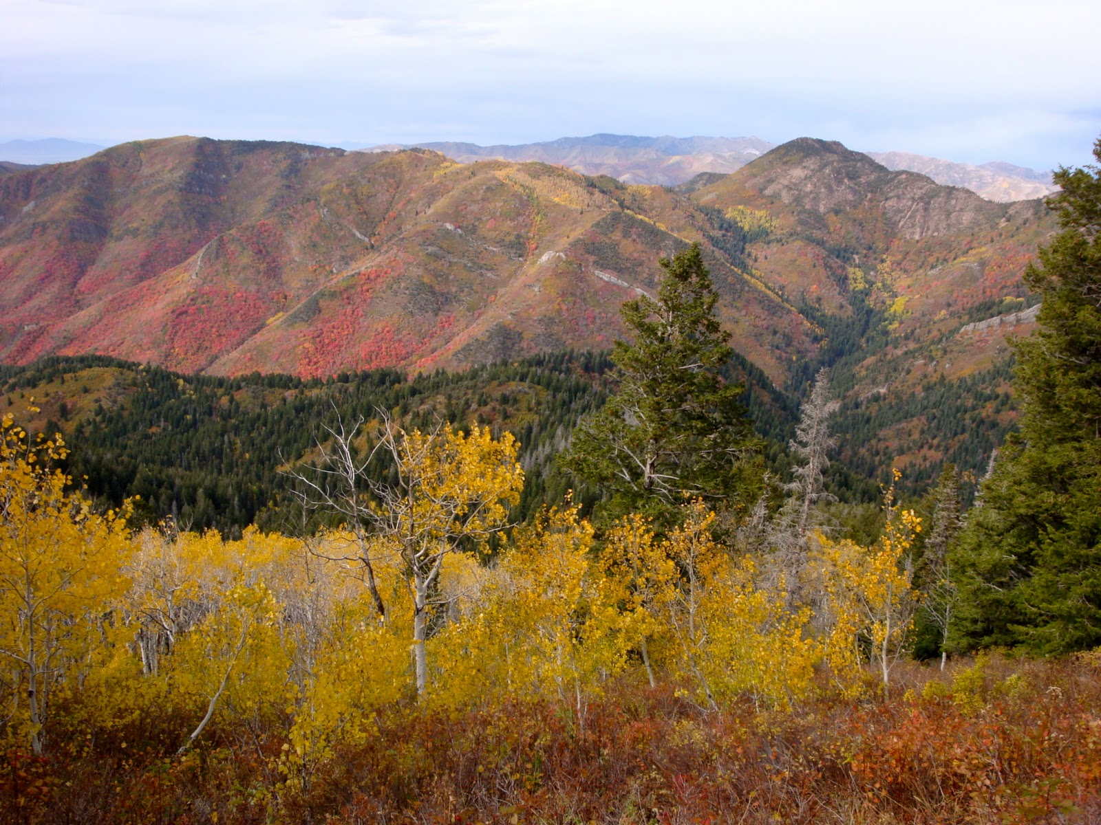 Hiking Utah: Millcreek Canyon - Alexander Basin