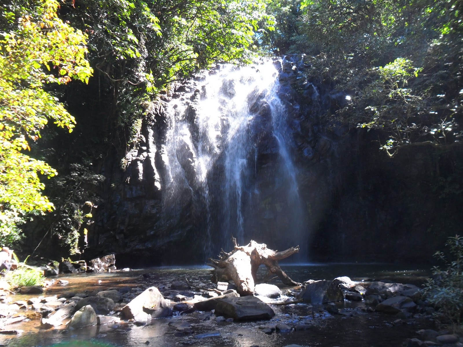 prita's heaven: Malanda Falls Caravan Park