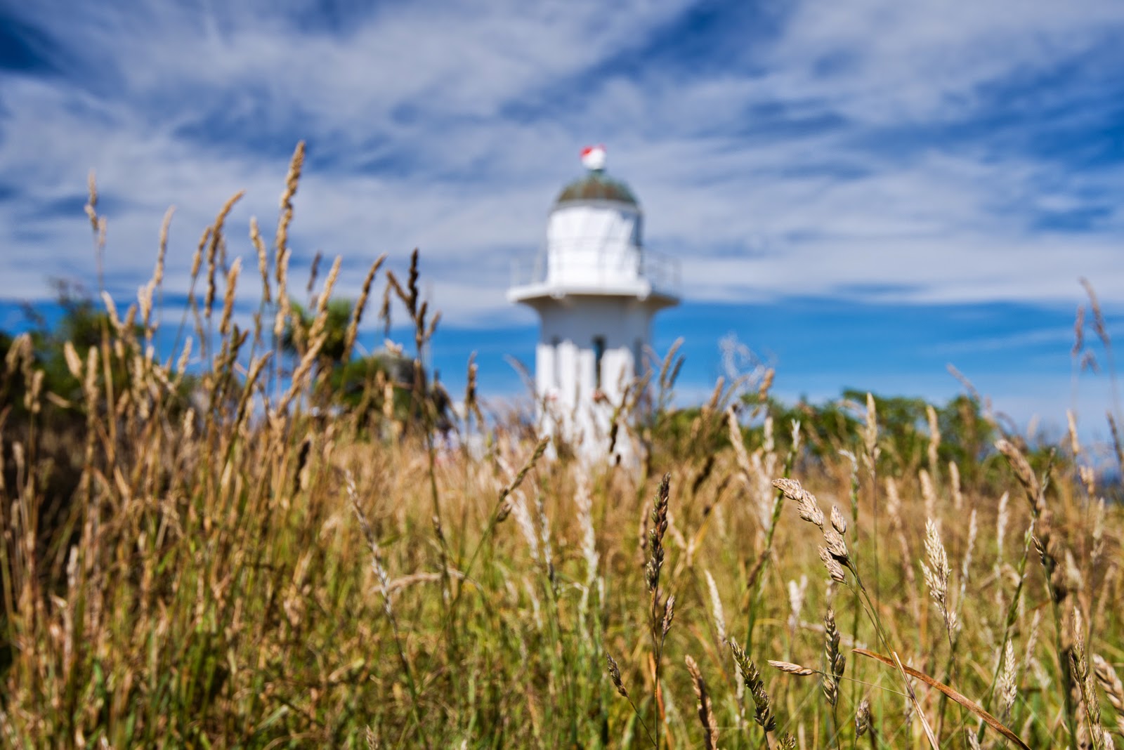 NZ Must Do: Adventures in Wellington - the walk to Baring Head ...