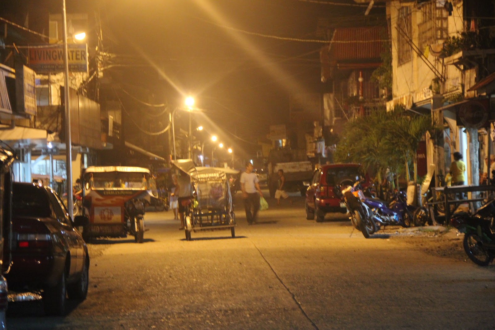 Dinner at Sheilah's Restaurant in Mangagoy